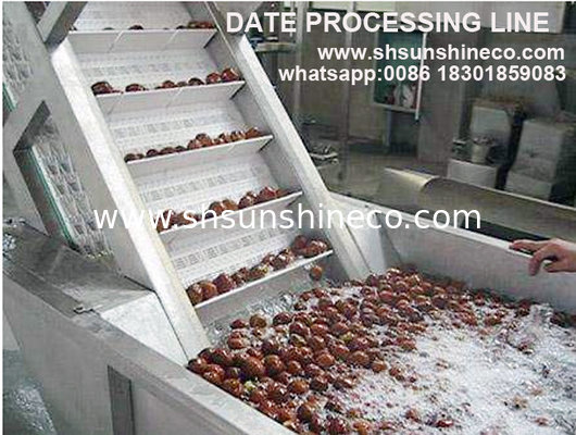 Date Washing Machin/Date washer/Date processing line/Jujube processing/Jujube Processer