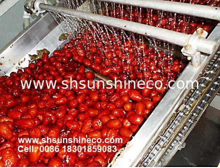 Date Washing Machin/Date washer/Date processing line/Jujube processing/Jujube Processer