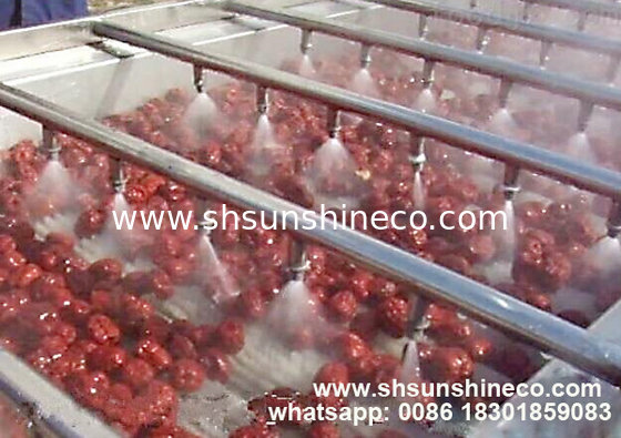 Date Washing Machin/Date washer/Date processing line/Jujube processing/Jujube Processer