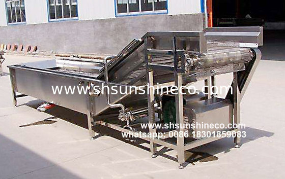 washing machine of tomato, strawberry, apple, mango, banana, and other fruit and vegetable that can float.