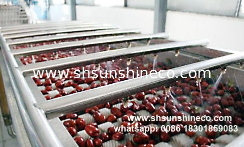 tomato paste plant/tomato paste processing factory/tomato paste machine
