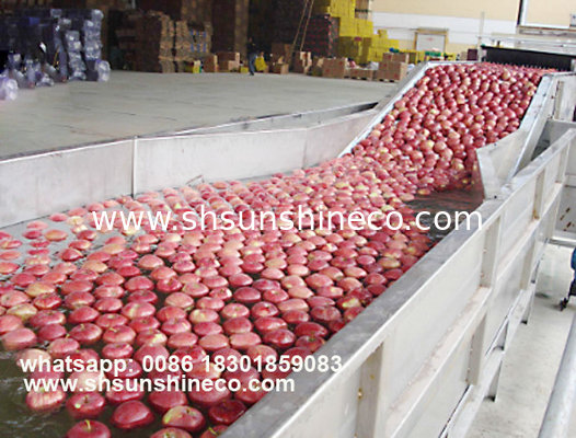 Professional Supplier of Apple Washing Machin/tomato washer/fruit washing machin/ bubber washing machine
