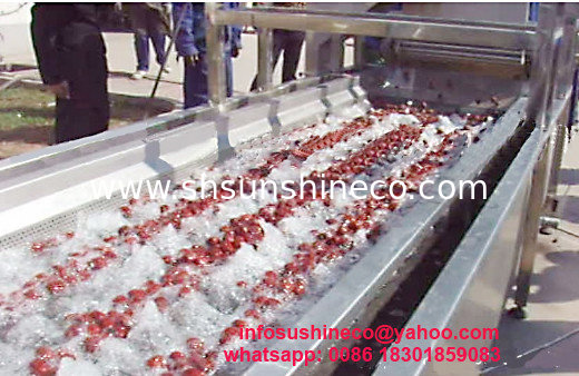 Date Washing Machin/Date washer/Date processing line/Jujube processing/Jujube Processer