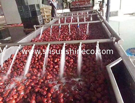 20 tons per hour tomato paste processing plant/tomato paste machine/tomato sauce factory/ tomato ketchup plant