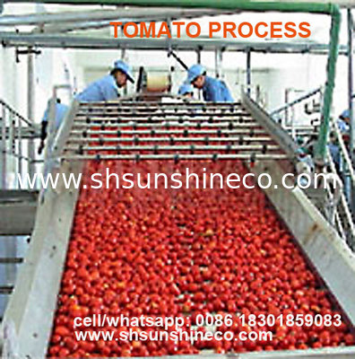 Tomato Paste Plant/tomato paste machine/tomato paste factorr/tomato processing line on turn-key solution