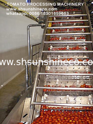 tomato processing plant/tomato paste production line/ tomato process/ tomato plant