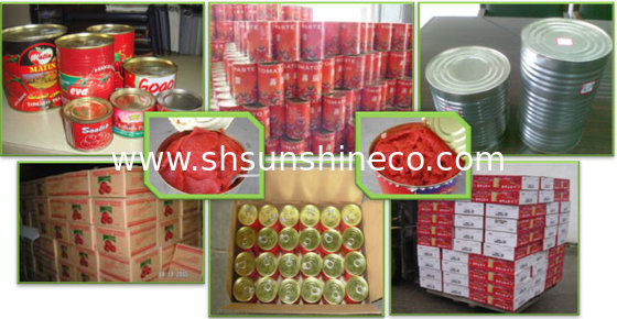 Chinese Supplier of Canned Tomato paste/Tomato paste in tin can/Tomato jam/tomato ketchup/tomato sauce