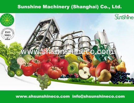 tomato paste prcocessing line