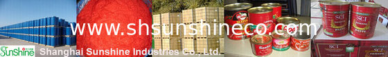 Good quality 2200g canned TOMATO PASTE from Xinjiang China