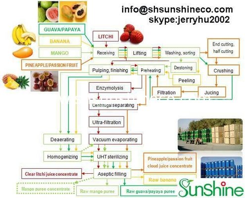 Tropical Fruit Process Plant Machinery/Mango Puree Processing Machine