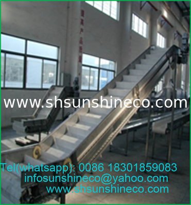 Bucket fruit lifting machine (hard plastic or stainless steel structure)fruit and vegetable lifter