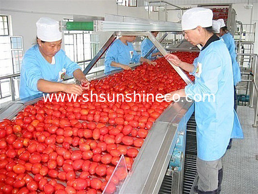 Fruit Selecting Machine/fruit selector 304 Stainless steel