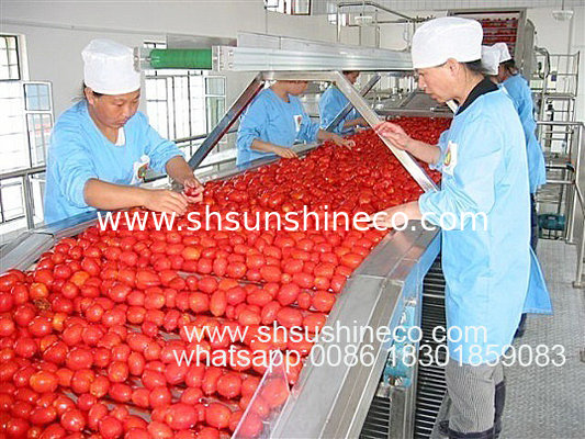 High efficiency tomato processing plant/tomato paste production line/ tomato process/ tomato plant Italy technolg