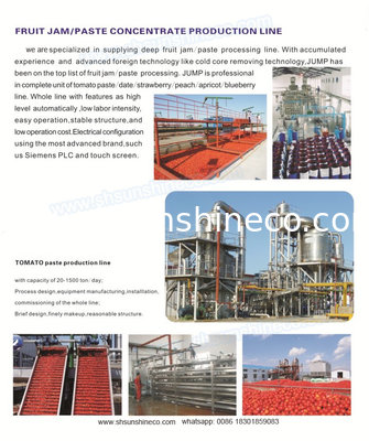 Tomato jam kechup paste/concentrate processing machine Italy technology