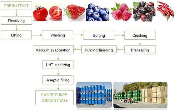 China tomato paste machinery tomato paste production line tomato processing factory
