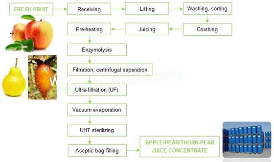 Apple, Pear, Thorn-pear Processing line