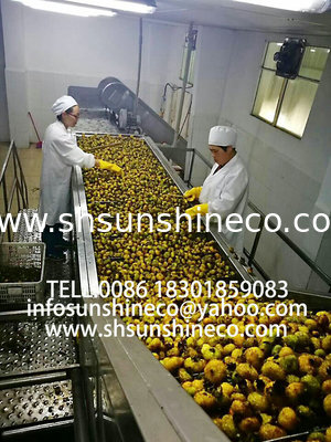 Professionaly supply thorn-pear belt juicing machine thorn-pear processing line, apple processing machine