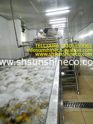 Professionaly supply thorn-pear belt juicing machine thorn-pear processing line, apple processing machine