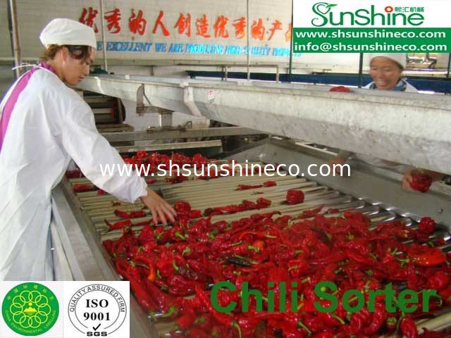 Chili Paste Machine/Chili Sauce Mahince/Chili Processing/Chili Factory/Chili Paste processing