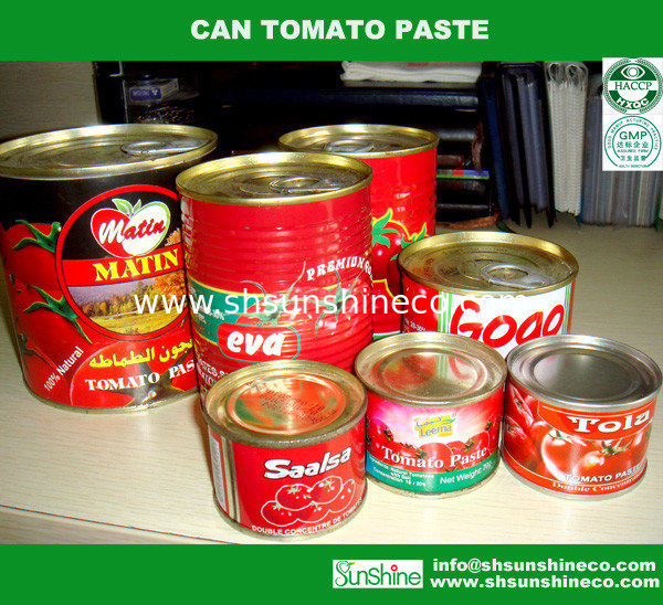 Good Quality small package tomato paste/tomato ketcup/ tomato sauce like tin can tomato paste, sachet tomato paste