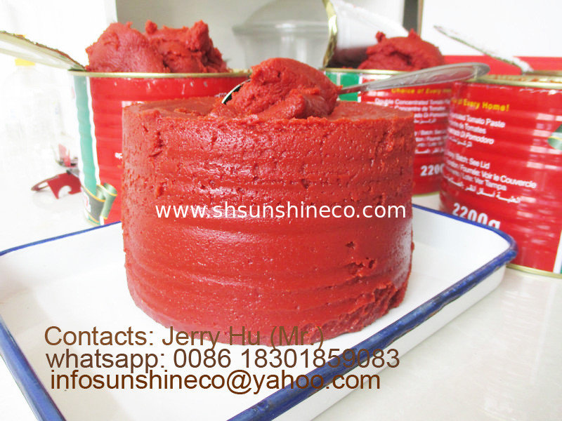 Chinese manufacturer of tin can Tomato paste/Chinese tomato paste/China tomato sauce/xinjiang tomato