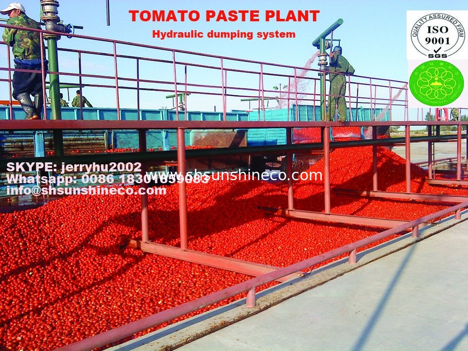 Tomato paste making/Tomato Paste factory/Machinery/tomato paste processing line Italy technology