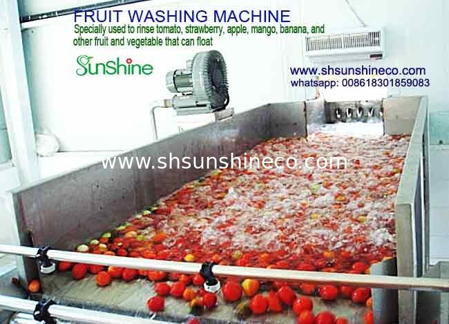 Surf Bubbling Washing Machine/Fruit Washing Machine/Fruit Washer/Tomato washer/strawberry washer
