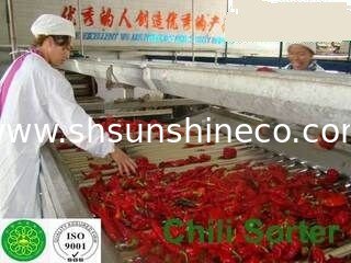 Chili Washing Machine/Chili Washer/Chili Process 304 stainless steel in wooden case