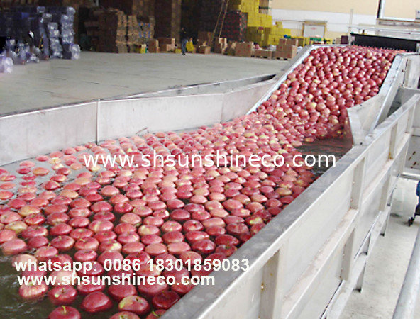 Professional Supplier of Apple Washing Machin/tomato washer/fruit washing machin/ bubber washing machine