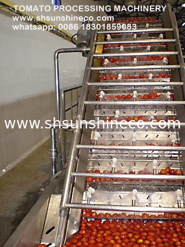 High quality fruit and vegetable lifting machine, fruit lifter, tomato lifting machine with 304 stainless steel