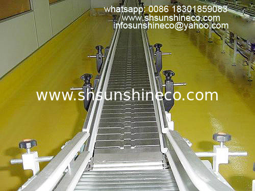 Professional supplier of chain plate lifter and conveyor for fruit and vegetable, juice, tea drink, milk etc.