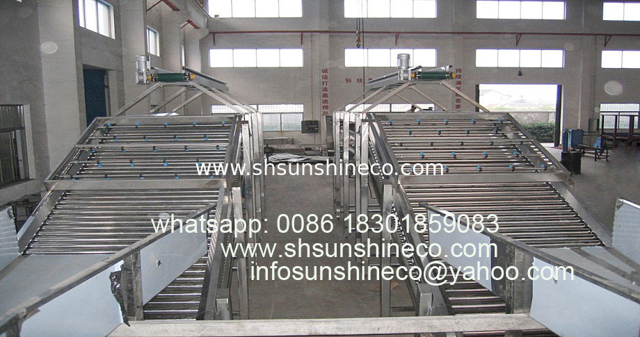 Roller conveyor for transporting fruits and vegetables and heavy goods like drum tomato paste