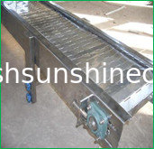 Chain plate lifting machine and conveying machine for fruit and vegetable, juice, tea drink, milk etc.
