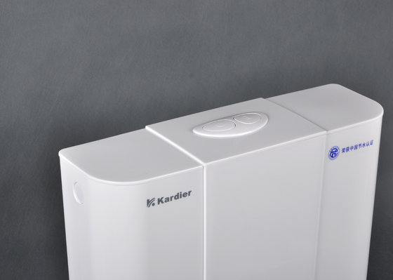 Exposed Upper PP Plastic Toilet Cistern Dual Flush With Flush Valve