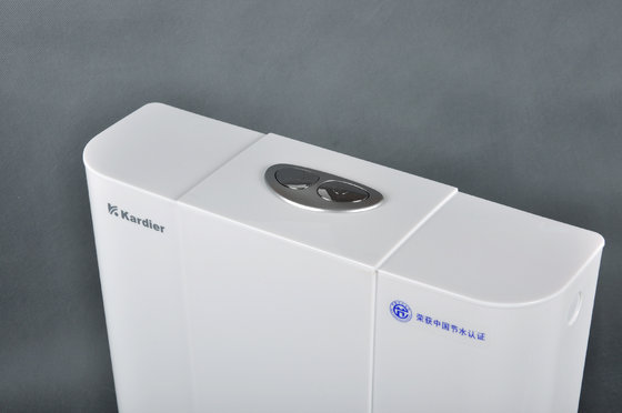 Family Washroom Dual Flush Exposed cistern , Toilet Flush Valve Seal