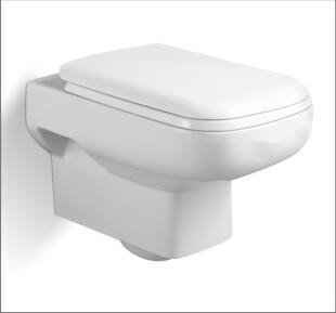 One piece Ceramic Wall Mount Toilet , Hotel WC Space Saving Toilets