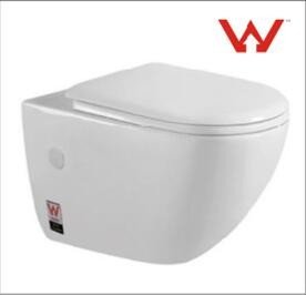 Luxury Sanitary Ware Ceramic Wall Hanging Toilet With Concealed Cistern