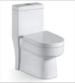 S-trap One Piece Ceramic Floor Mounted Toilet Home Sanitary Products
