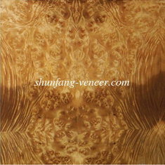 China Madrone Burl Veneer supplier