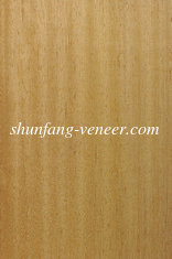 China Afrormasia Wood Veneer supplier