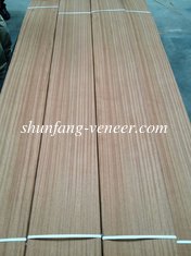 China SAPELE Wood Veneer Quartered SAPELLI supplier