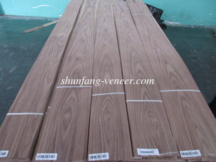 China Natural Walnut Wood Veneers American Walnut Natural Veneers from Shunfang Veneer supplier