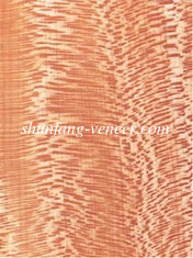China Quartered Lacewood Veneer, LACEWOOD FRANCE supplier