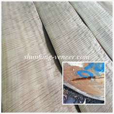 China Figure Eucalyptus Natural Wood Veneer supplier