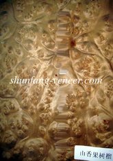 China Golden Burl Veneer from Burma/China supplier