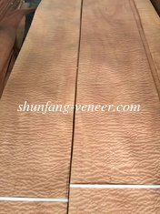 China SAPELI: SAPELE POMMELE Wood Veneer China supplier