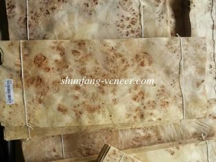 China Mappa Burls Wood Veneer supplier