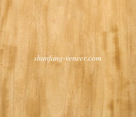 China Prima Vera Natural Wood Veneer for Furniture Door Panel Furnishings Decoration from www.shunfang-veneer-com.ecer.com supplier