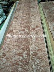 China Madrone Burl Paper Backed Veneer Sheets Paper Back Madrone Burl Veneer supplier