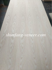 China American Red Oak Spliced Veneer Sheets 4' x 8' for Furniture Door Plywood from Shunfang Veneer supplier